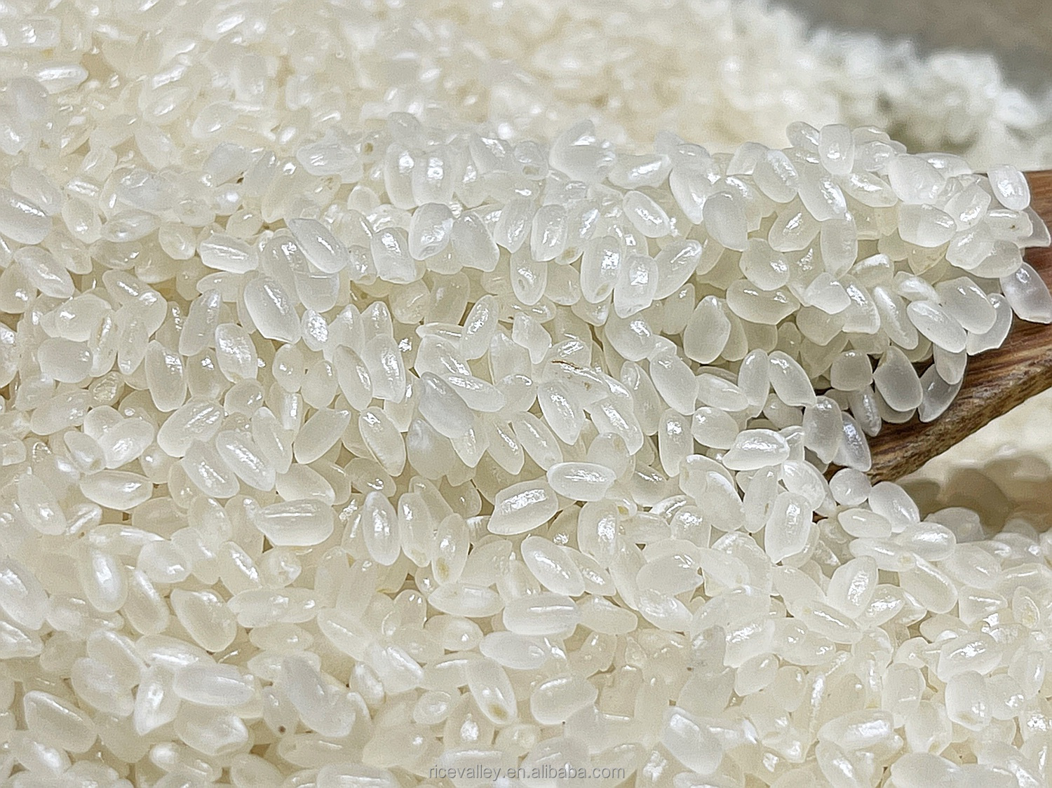 Short Grain – Harvest Haven Agroco Ltd