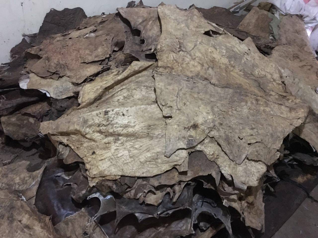 Dry Salted Cow Skins – Harvest Haven Agroco Ltd