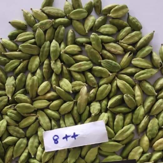 Green Cardamom – Harvest Haven Agroco Ltd